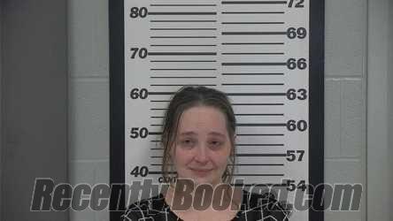 Recent Booking / Mugshot for RACHEL HAUSER in Platte County, Missouri