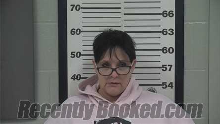 Recent Booking / Mugshot for SHERRI KAY MORGAN in Platte County, Missouri