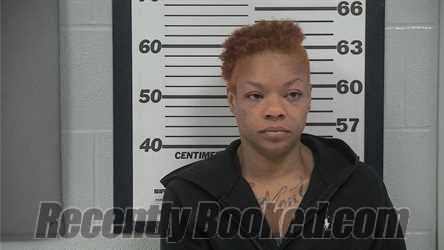 Recent Booking / Mugshot for SHAWNTAE RENEE OWENS in Platte County ...
