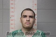 Recent Booking / Mugshot for BRANDON LEE HANEY in Polk County, Missouri