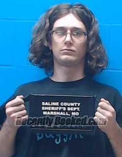Recent Booking / Mugshot for Gabriel Alexander Riley in Saline County ...