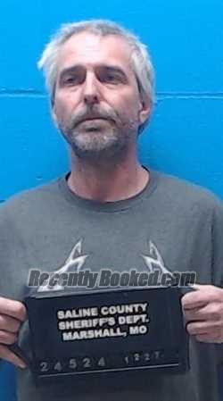 Recent Booking / Mugshot for Shannon Dwayne Howerton in Saline County ...