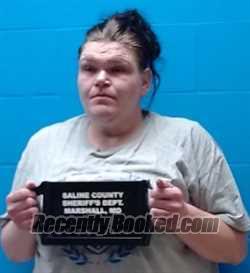Recent Booking / Mugshot for Tammy R Cheney in Saline County, Missouri
