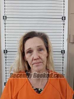 Recent Booking / Mugshot for ANGELA JOHNSON BRANHAM in Scott County ...