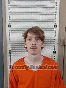Recent Booking / Mugshot for JACE RYLEN LAVIOLETTE in Scott County ...