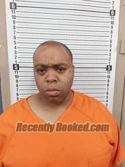 Recent Booking / Mugshot for STEPHEN ANTHONY GRAVES in Scott County ...