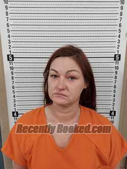 Recent Booking / Mugshot for SAMANTHA E TIPPEN in Scott County, Missouri