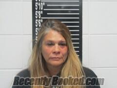 Recent Booking / Mugshot for Michelle Aileen Galan in Stone County ...