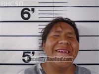 Recent Booking / Mugshot for JEREMY JAMES BOUYER in Big Horn County ...