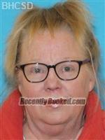 Recent Booking / Mugshot for CARLA TORSKE LAMMERS in Big Horn County ...