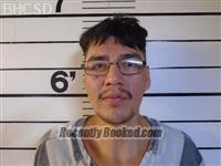 Recent Booking / Mugshot for GARLAND VICTOR JR DOOR in Big Horn County ...