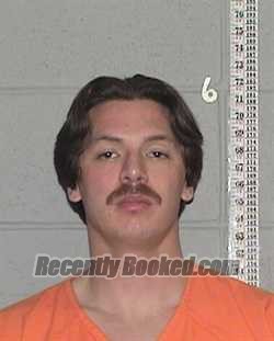 Recent Booking / Mugshot for BAILEY SKYE REED in Flathead County, Montana