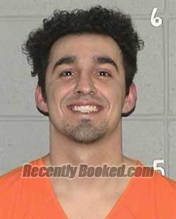 Recent Booking / Mugshot for CHRISTIAN PATRICK LEDWIDGE in Flathead ...