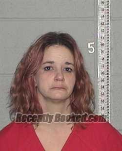Recent Booking / Mugshot for JESSICA RENEE BIGGINS in Flathead County ...