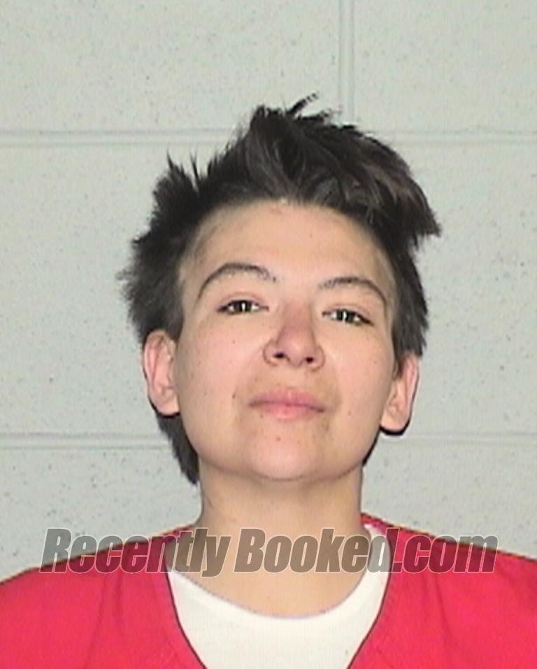 Recent Booking / Mugshot for JENNIFER MICHELLE PERVAIS in Flathead ...