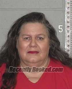 Recent Booking / Mugshot for PATRICIA MARIE HOLCOMB in Flathead County ...
