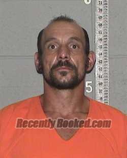 Recent Booking / Mugshot for SAYLEN TAYLOR JAMES NIELSEN in Flathead ...