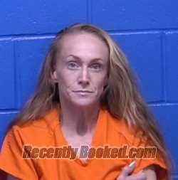 Recent Booking / Mugshot for LINDSEY AMANDA TRACY in Missoula County ...