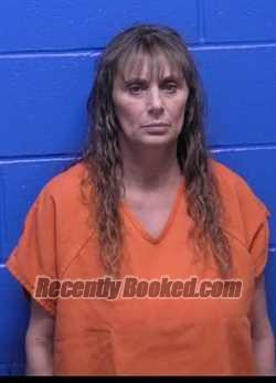 Recent Booking / Mugshot for THERESA ANNE CHABOT in Missoula County ...