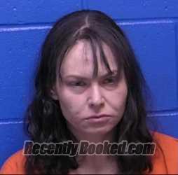 Recent Booking / Mugshot for ROBIN MARIE HOLCOMB in Missoula County ...
