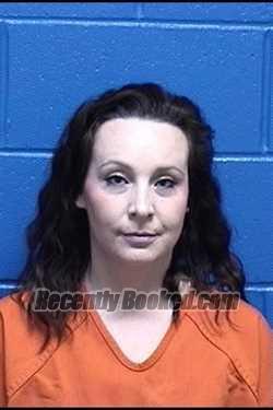 Recent Booking / Mugshot for APRIL DAWN FAY SYBRANT in Missoula County ...