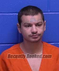 BRAEDEN MICHAEL WINSTONE Arrest Record & Booking Info – Missoula County ...