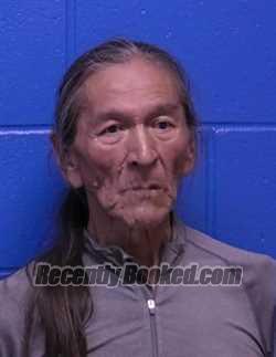 Recent Booking / Mugshot for MICHAEL ROBERT GOPHER in Missoula County ...