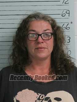 Recent Booking / Mugshot for SARAH ANN IVES in Ravalli County, Montana