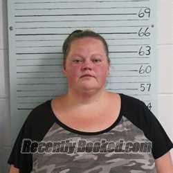 Recent Booking / Mugshot for JESSICA RENEE TORRES in Ravalli County ...