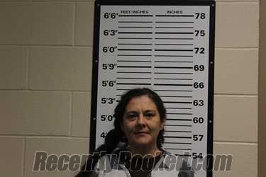 Recent Booking / Mugshot for GINGER MARIE JESTER in Valley County, Montana