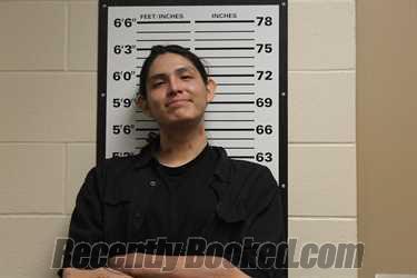 Recent Booking / Mugshot for ANTHONY ALLEN NIBBS in Valley County, Montana