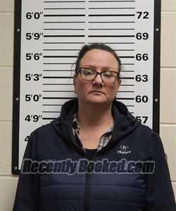 Recent Booking / Mugshot for SARAH ANN HARRISON in Valley County, Montana