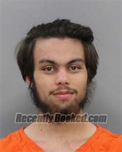 Recent Booking / Mugshot for MASON RICHARD LABOUCHARDIERE in Buffalo ...