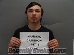 Recent Booking / Mugshot for CAMERON HANSEN in Cass County, Nebraska