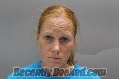 Robin Sinner Mugshot & Arrest Info | Cass County, NE