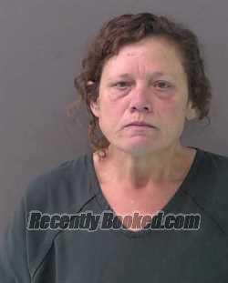 Recent Booking / Mugshot for DOVIE ESTELLA REISNER in Bell County, Texas