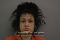 Amelia Kaye Rouillard Arrest Record & Booking Info – Madison County ...