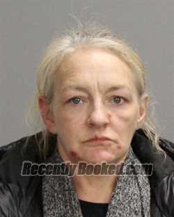 Recent Booking / Mugshot for BRENDA LEE PEVETO in Brazos County, Texas