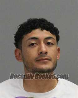 JIMMY JR MICHILENA Arrest Record & Booking Info – Brazos County, Texas ...