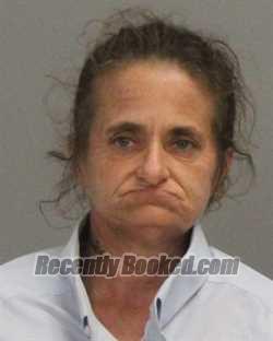 Recent Booking / Mugshot for Brenda Jeanne Mcdermott in Brazos County ...