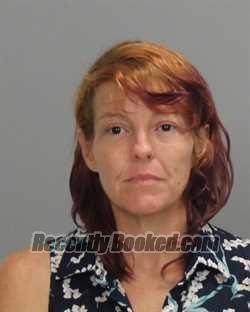 Recent Booking / Mugshot for AMY LARAYNE DOPITA in Brazos County, Texas