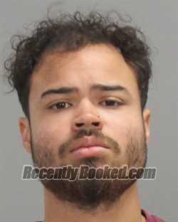 CHRISTIAN ALEXANDER HENRY Arrest Record & Booking Info – Brazos County ...