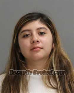 Recent Booking / Mugshot for ANABEL REYES VARGAS in Brazos County, Texas