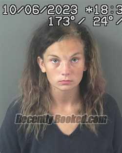 Recent Booking / Mugshot for ALYSIA NICOLETTE SHEETS in Elko County, Nevada