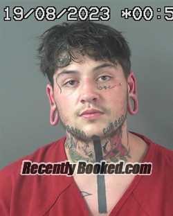 Recent Booking / Mugshot for JAYCE ALAN MOSELEY in Elko County, Nevada