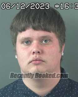 Recent Booking / Mugshot for RILEY MATTHEW THORN in Elko County, Nevada