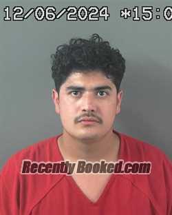 Recent Booking / Mugshot for ANTHONY ALEJANDRO SALAZAR in Elko County ...