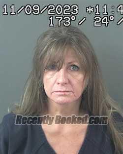 Recent Booking / Mugshot for TAMARA JEAN REESE-TOMTEN in Elko County ...