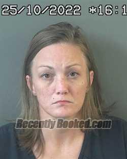 Recent Booking / Mugshot for BRIANNE MEGAN RAMSER in Elko County, Nevada