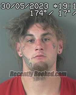 Recent Booking / Mugshot for JUSTIN WAYNE ROLLINS in Elko County, Nevada